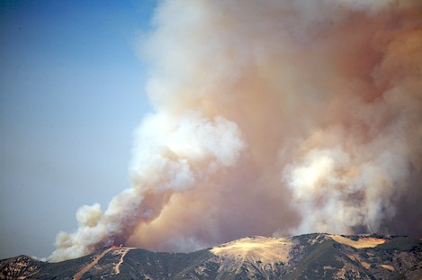 Zaca Fire Incident Information - The Santa Barbara Independent