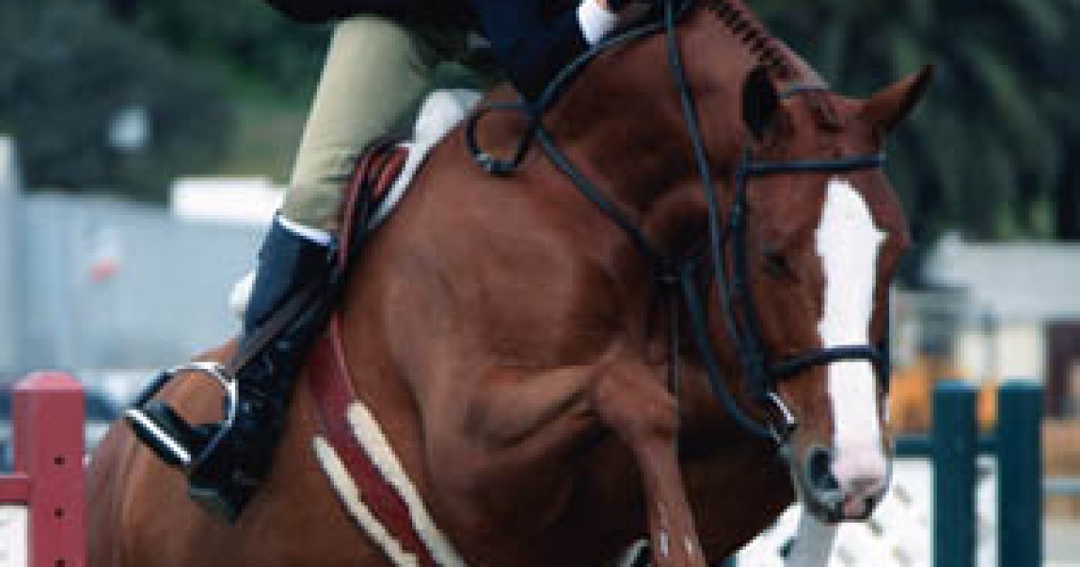 Talia Stella Klein, 1994-2007 - The Santa Barbara Independent