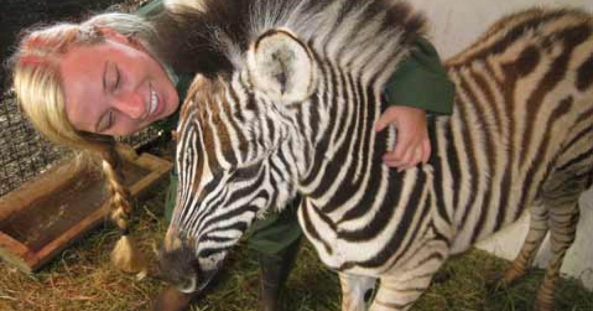 Capturing Wild Animals, Teaching Your Peers - The Santa Barbara Independent