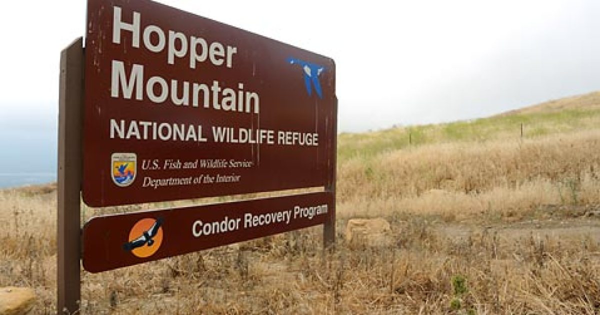 Planning Underway for Region’s National Wildlife Refuges - The Santa ...