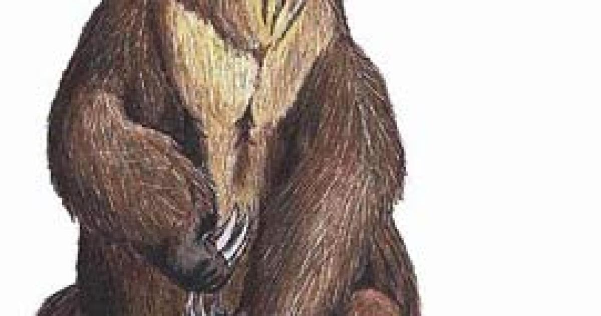 Ancient American Giants - The Santa Barbara Independent