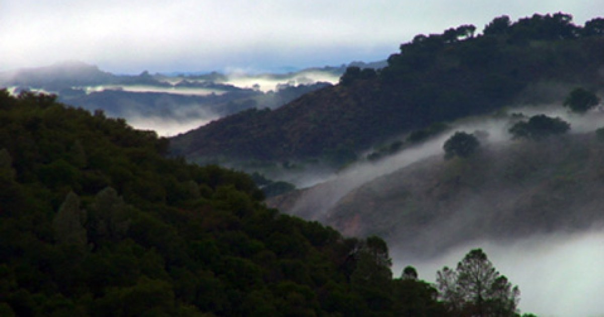 The Santa Ynez River Wilderness - The Santa Barbara Independent