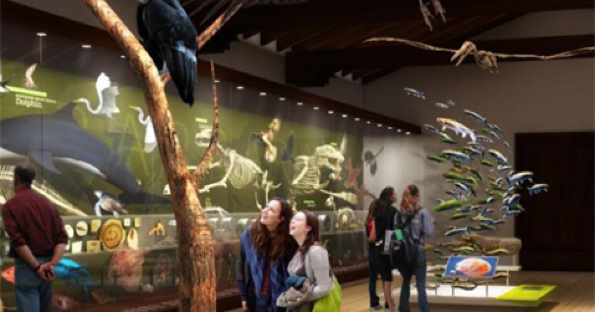 Santa Barbara Museum of Natural History Remodel Approved - The Santa ...