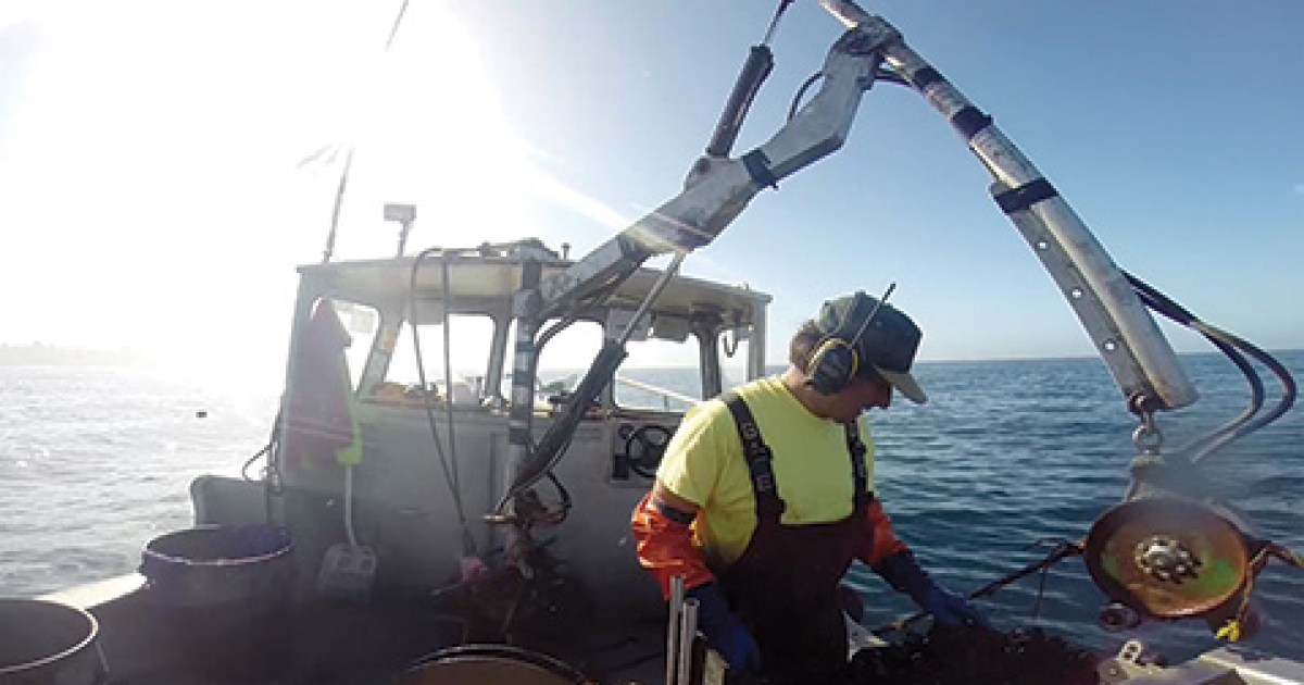 Mussel Man - The Santa Barbara Independent