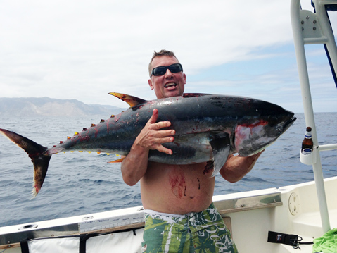Shark Attack off Santa Cruz Island - The Santa Barbara Independent