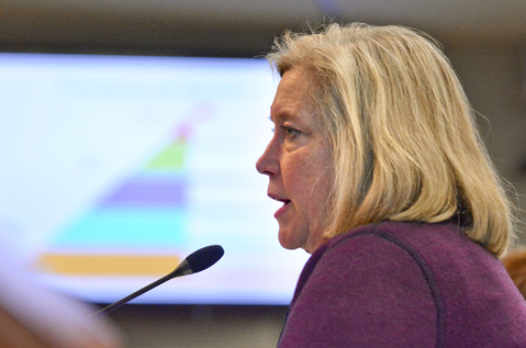 Mental Health Hearing Gets Hot - The Santa Barbara Independent