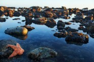 NationStates Dispatch Climate And Biomes NationStates Dispatch Climate And Biomes