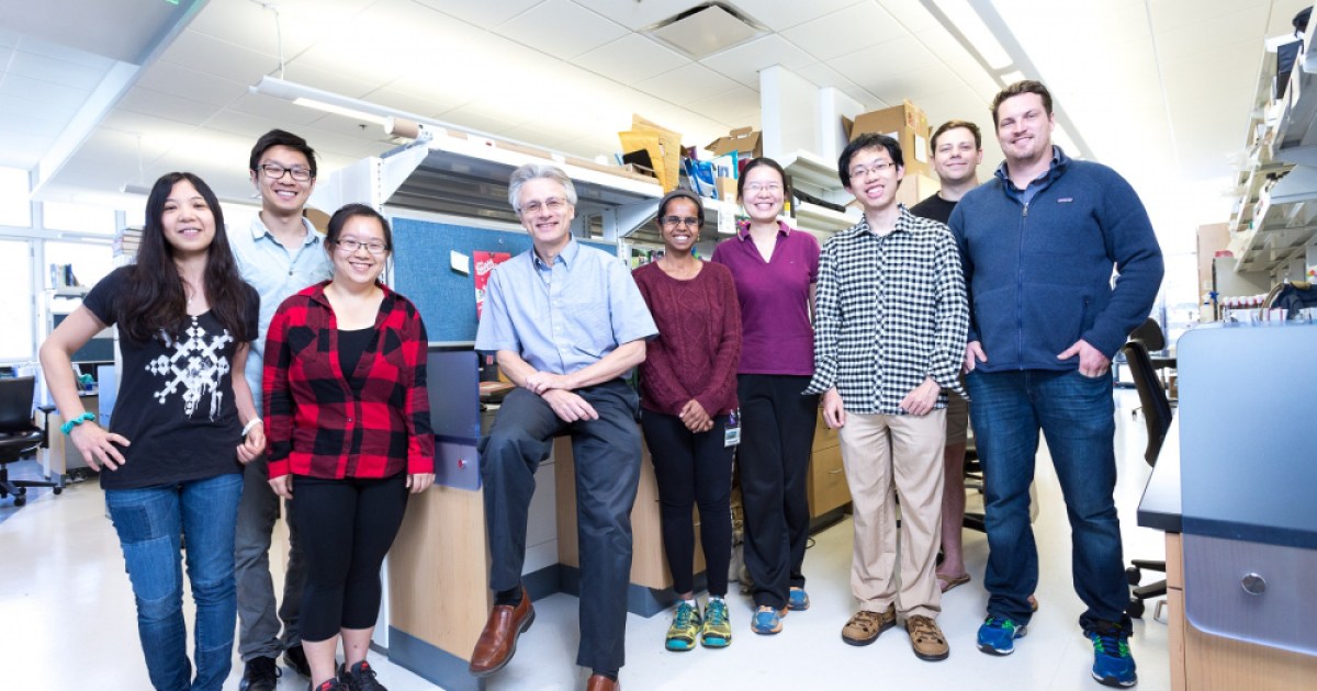 UC Santa Barbara Targets Zika - The Santa Barbara Independent