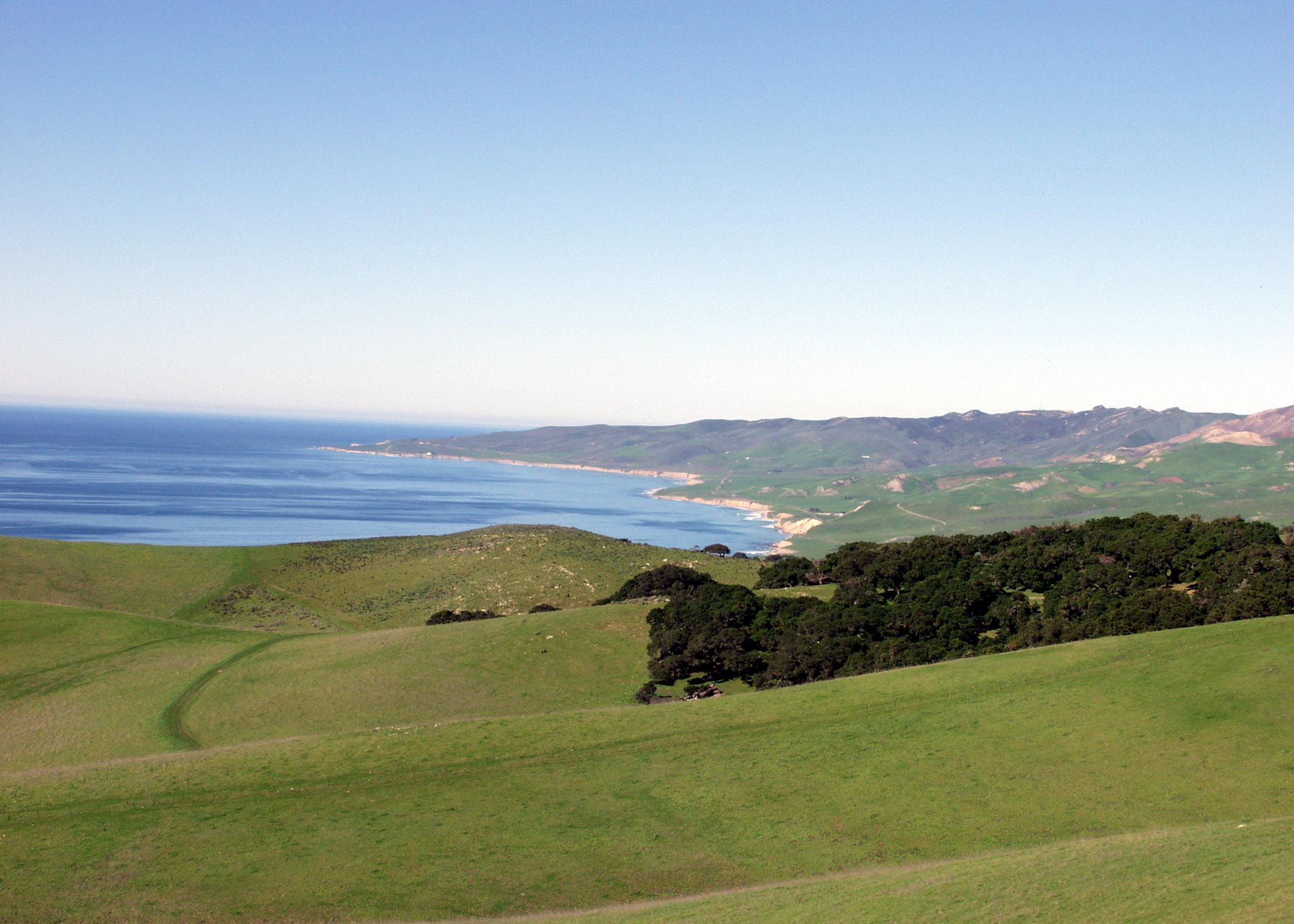 Cojo Jalama Ranch Owner Agrees to Restore Habitat - The Santa Barbara ...