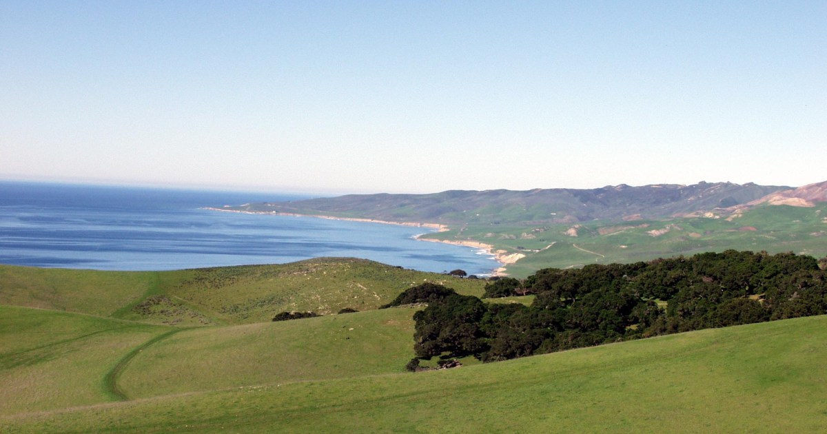 Cojo Jalama Ranch Owner Agrees to Restore Habitat - The Santa Barbara ...