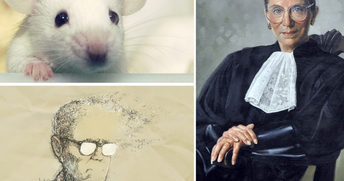 Year in Review: Nick Welsh Chooses a Handful of Stories – The Santa ...