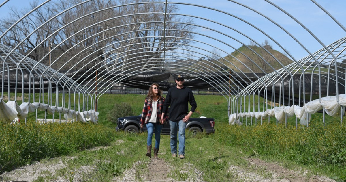 In Battle of Hoop Houses, Cannabis Wins - The Santa Barbara Independent