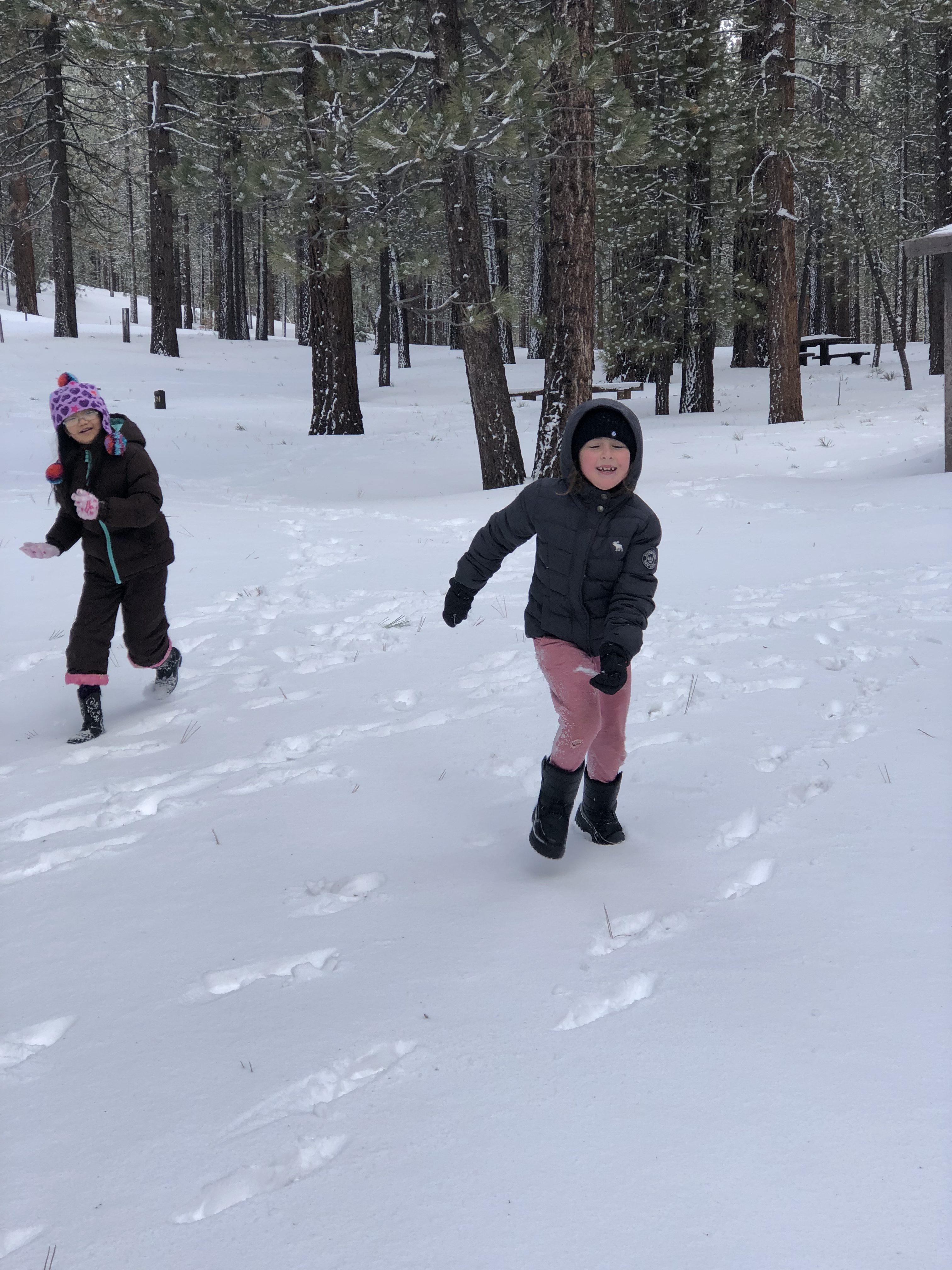 A Santa Barbara Staycation from Snow to Sand - The Santa Barbara ...