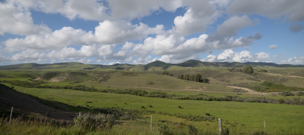 The Last Perfect Place in California - The Santa Barbara Independent