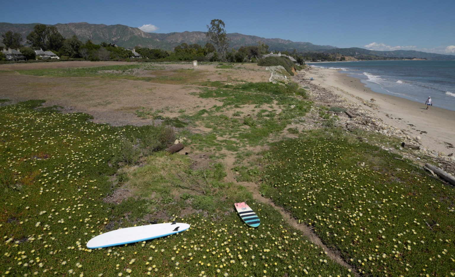 Hearing Set for Hammond's Meadow - The Santa Barbara Independent