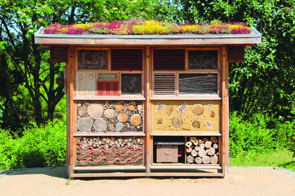 Cities as Sanctuaries for Bees, Insects, and Birds - The Santa Barbara ...