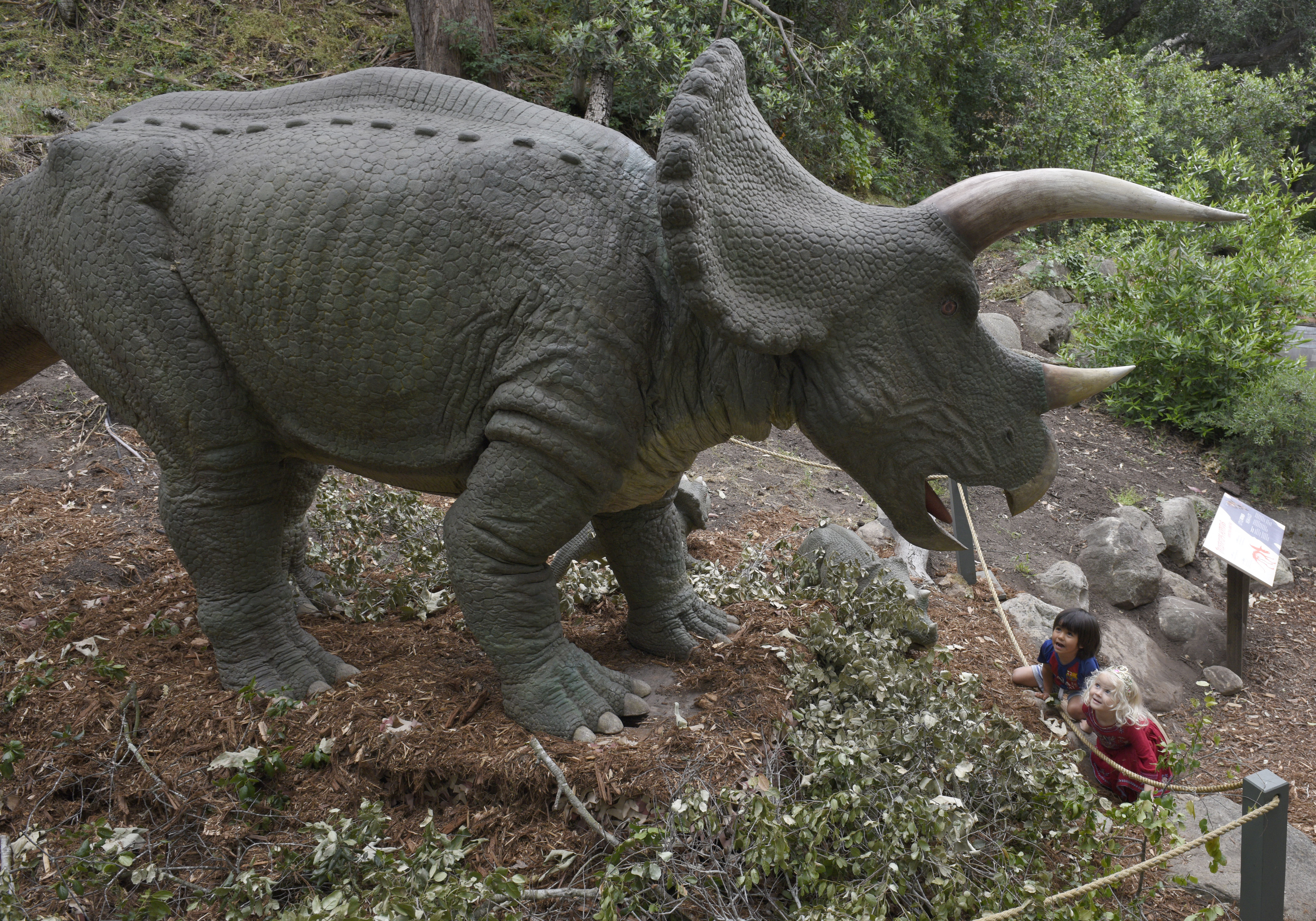 Dinos Descend on Natural History Museum - The Santa Barbara Independent