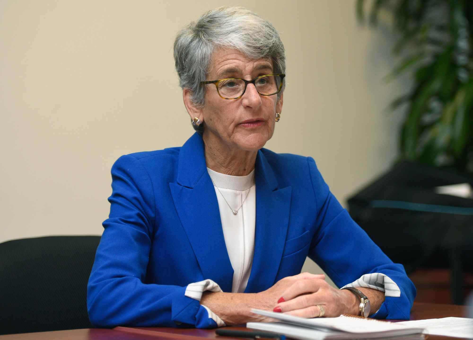 Who Will Take State Senator Hannah-Beth Jackson’s Seat? - The Santa ...