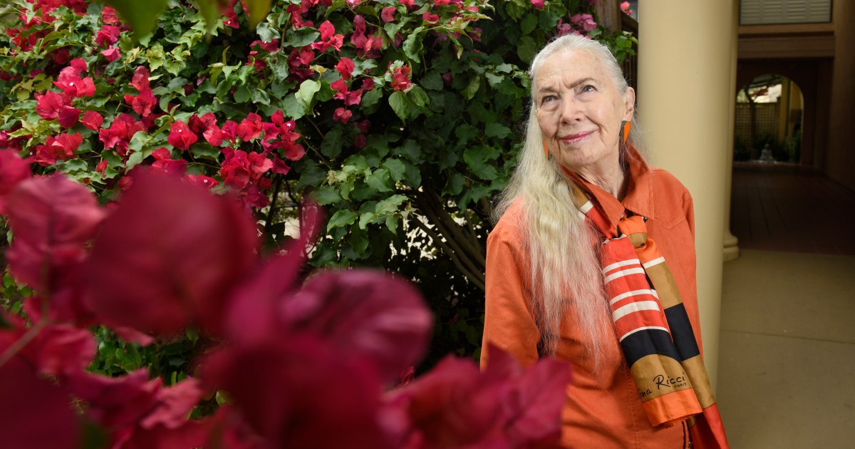 Betty Fussell Is Fierce, Funny, and Frank - The Santa Barbara Independent