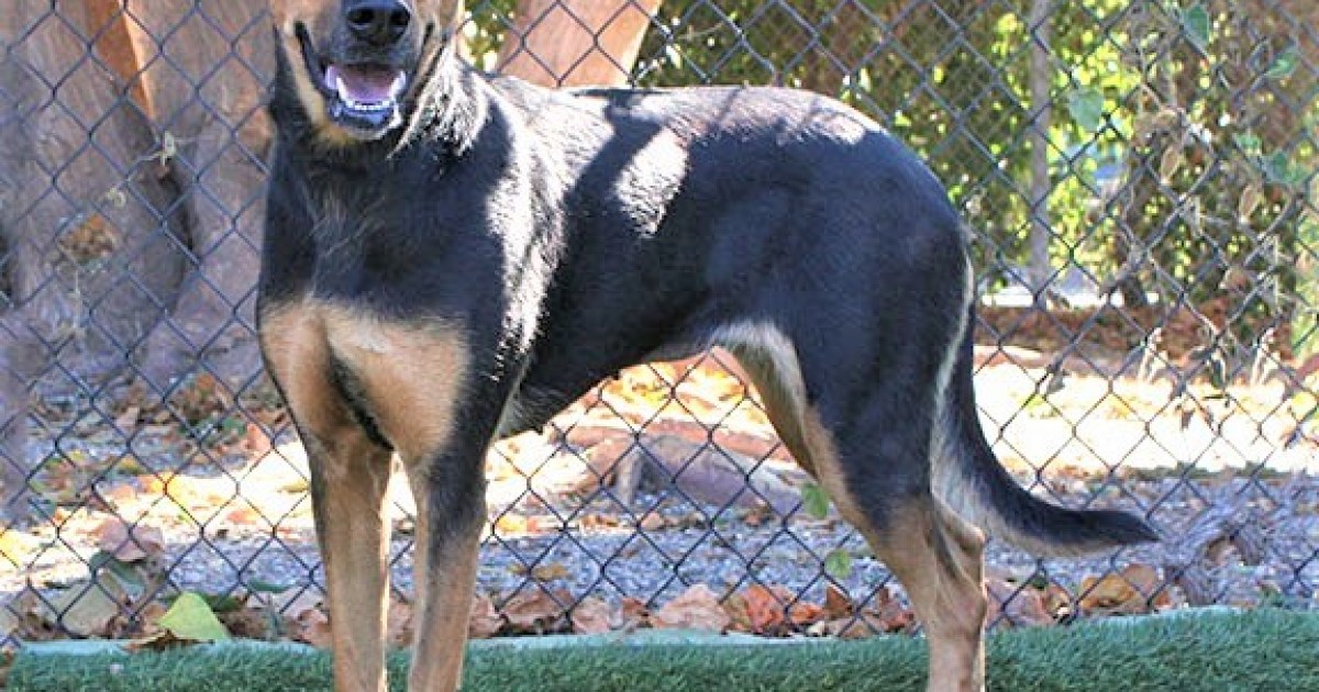 Reba - The Santa Barbara Independent