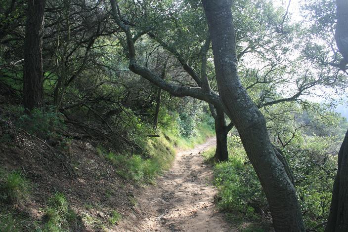 Cold Spring Trail Reopens - The Santa Barbara Independent