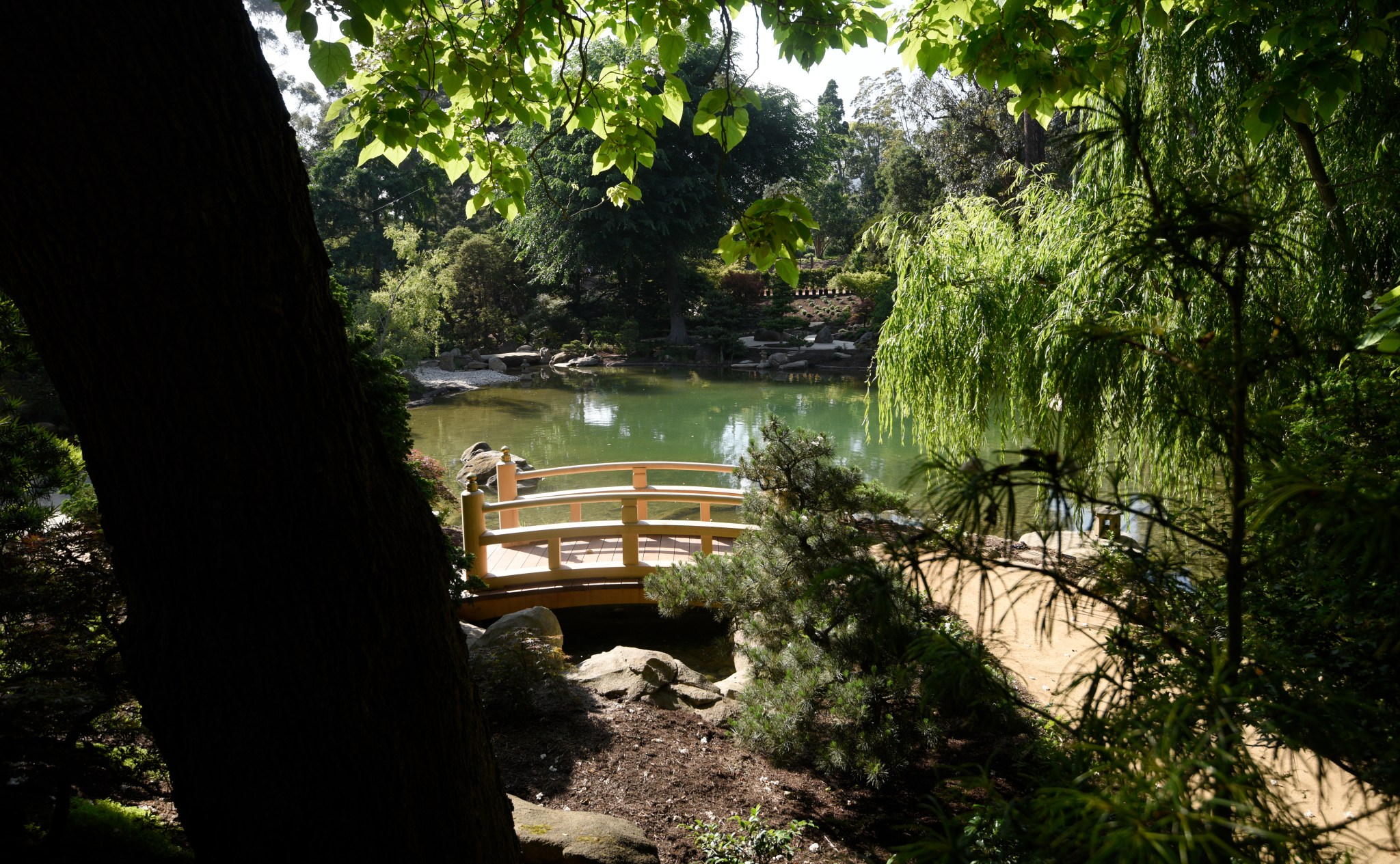 Lotusland Reopens - The Santa Barbara Independent