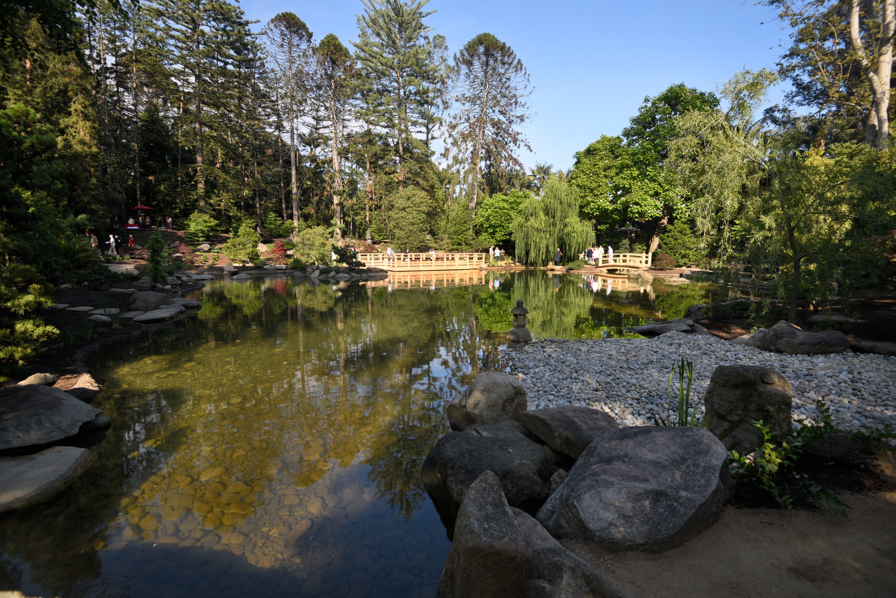 Lotusland Reopens - The Santa Barbara Independent