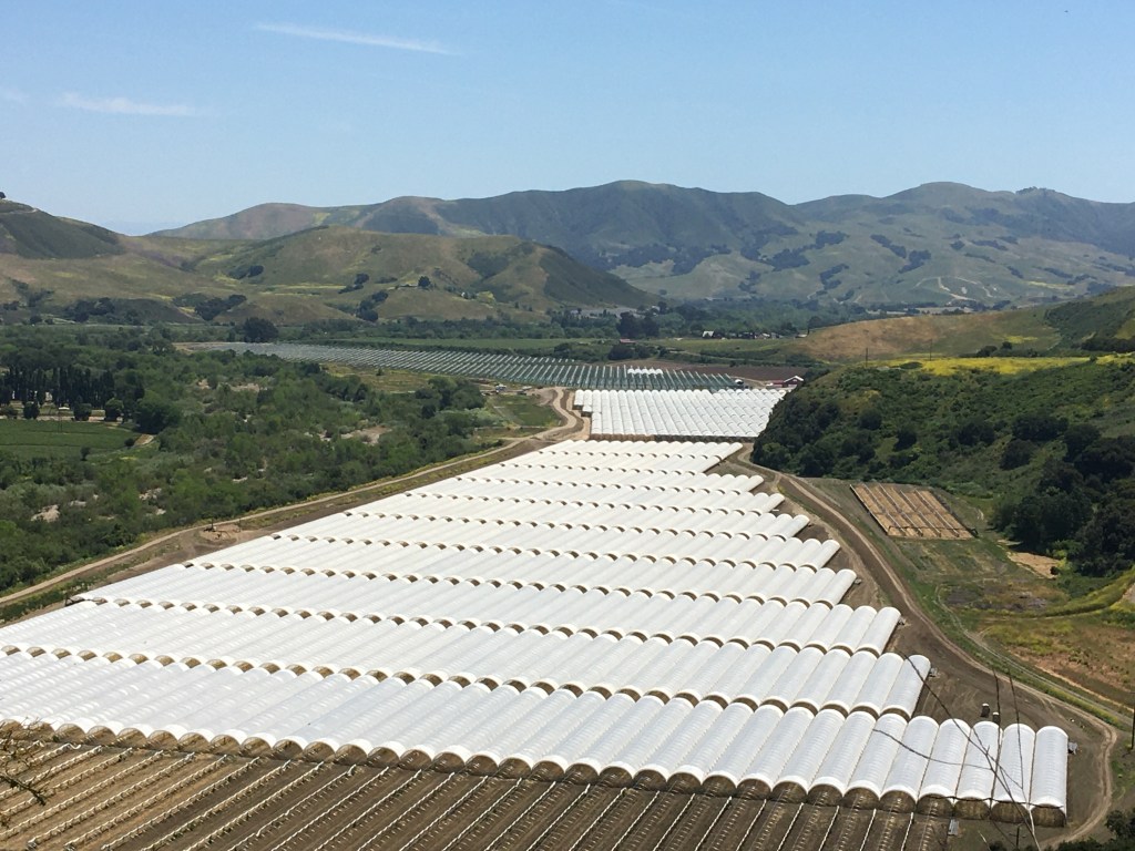 Lawsuit Against Hoop-House Ordinance Shot Down - The Santa Barbara ...