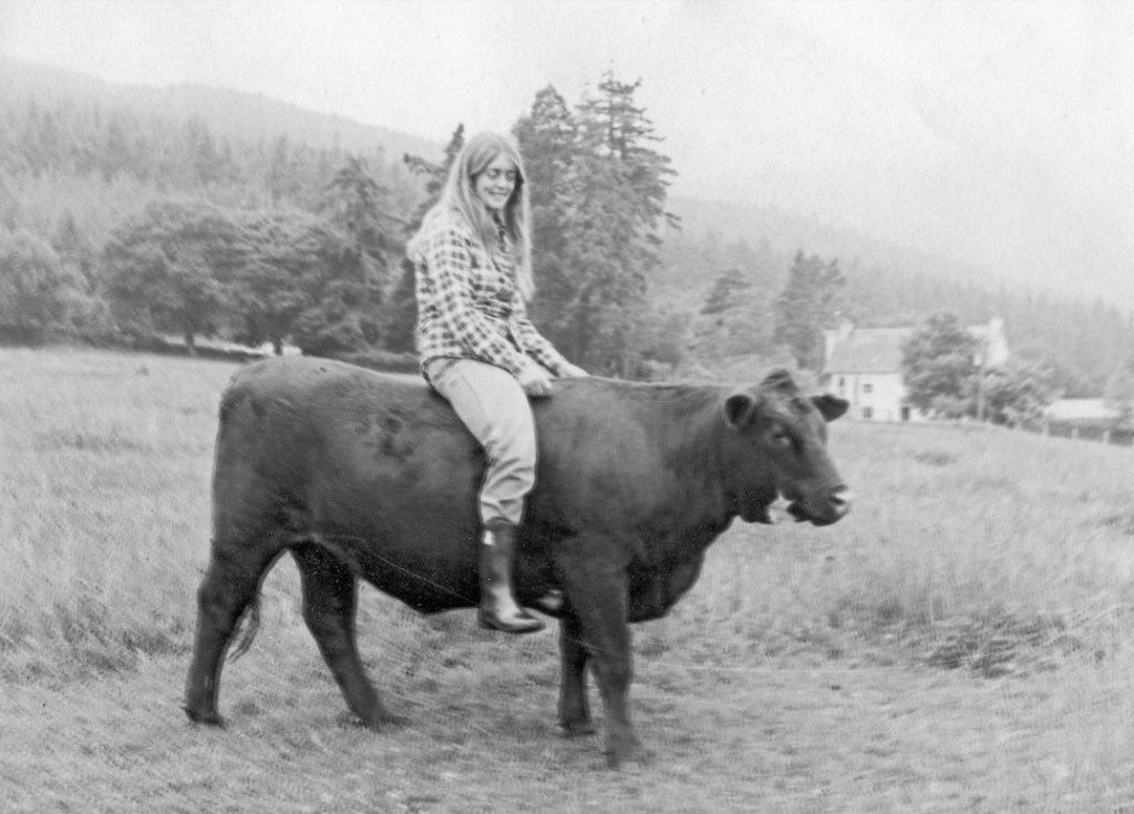 One Santa Barbara Woman’s Ode to Cows - The Santa Barbara Independent