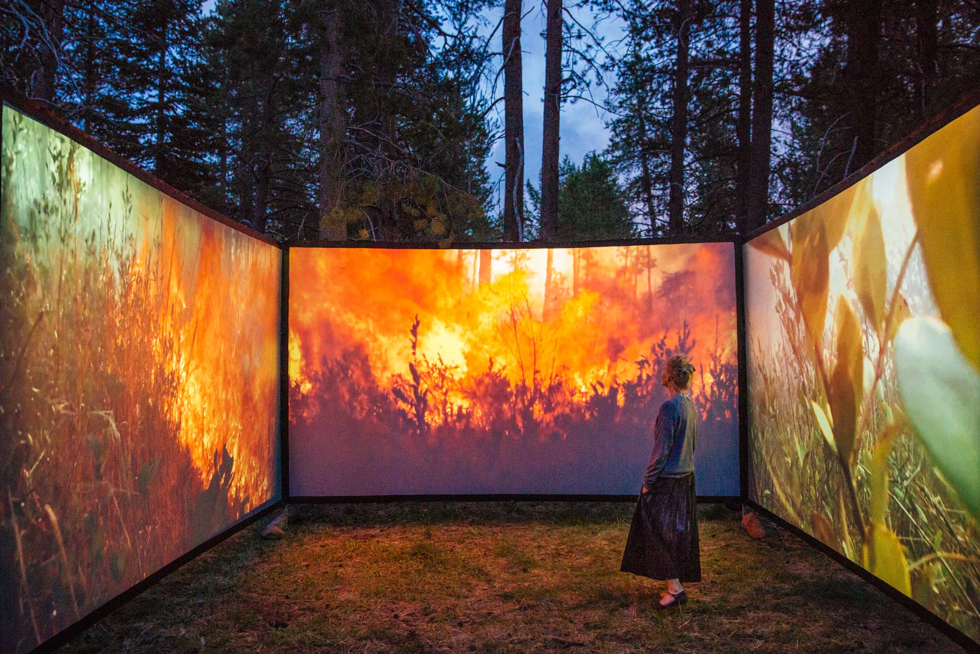 Immersive 'Walk Into Wildfire' Exhibit Opens Saturday - The Santa ...
