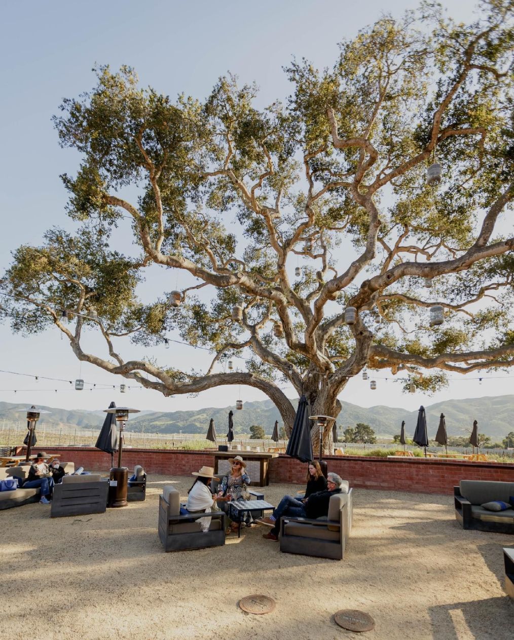 Brick Barn Wine Estate’s Moldovan Motivations - The Santa Barbara ...