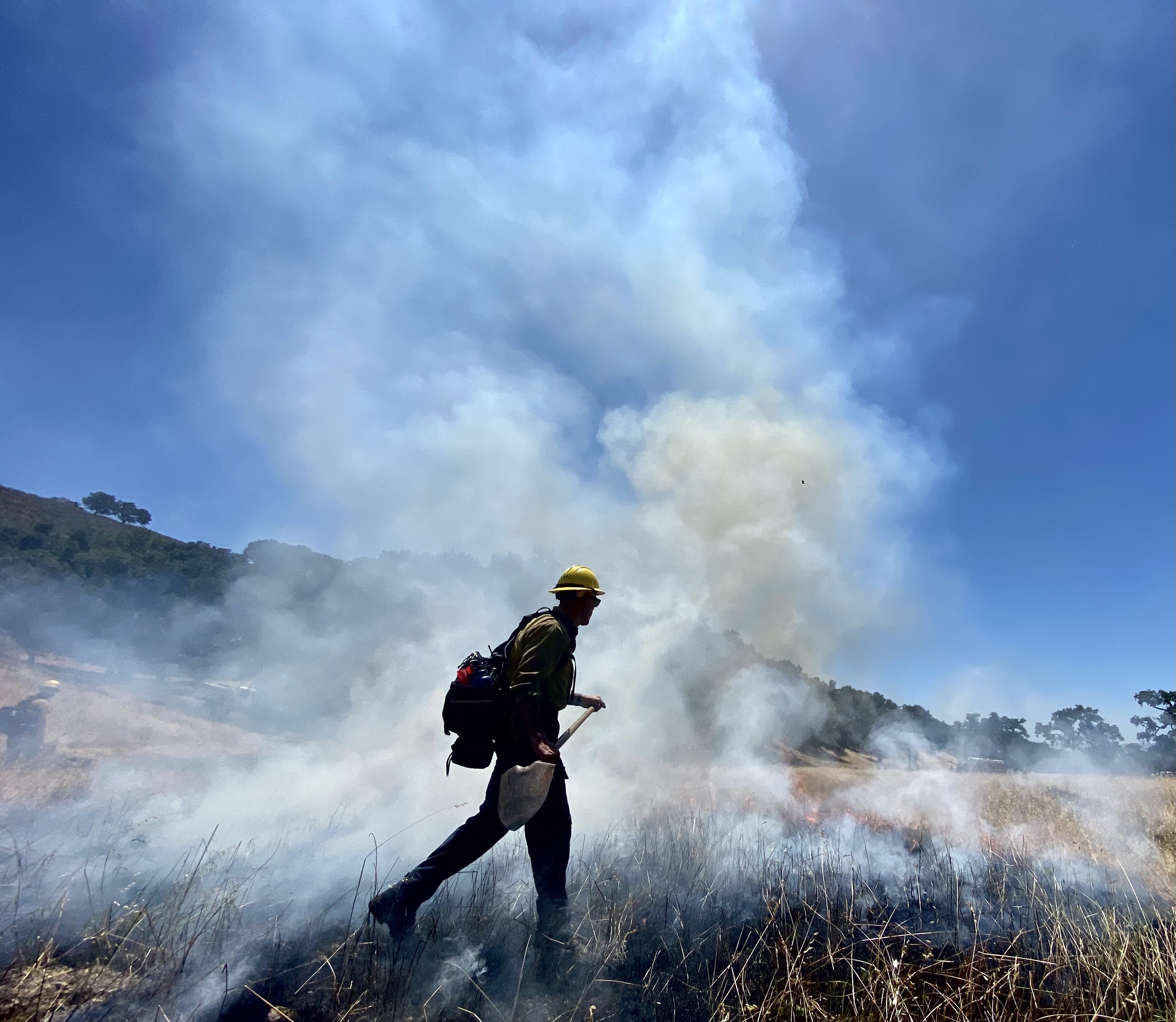 The Art and Science of a Prescribed Burn - The Santa Barbara Independent