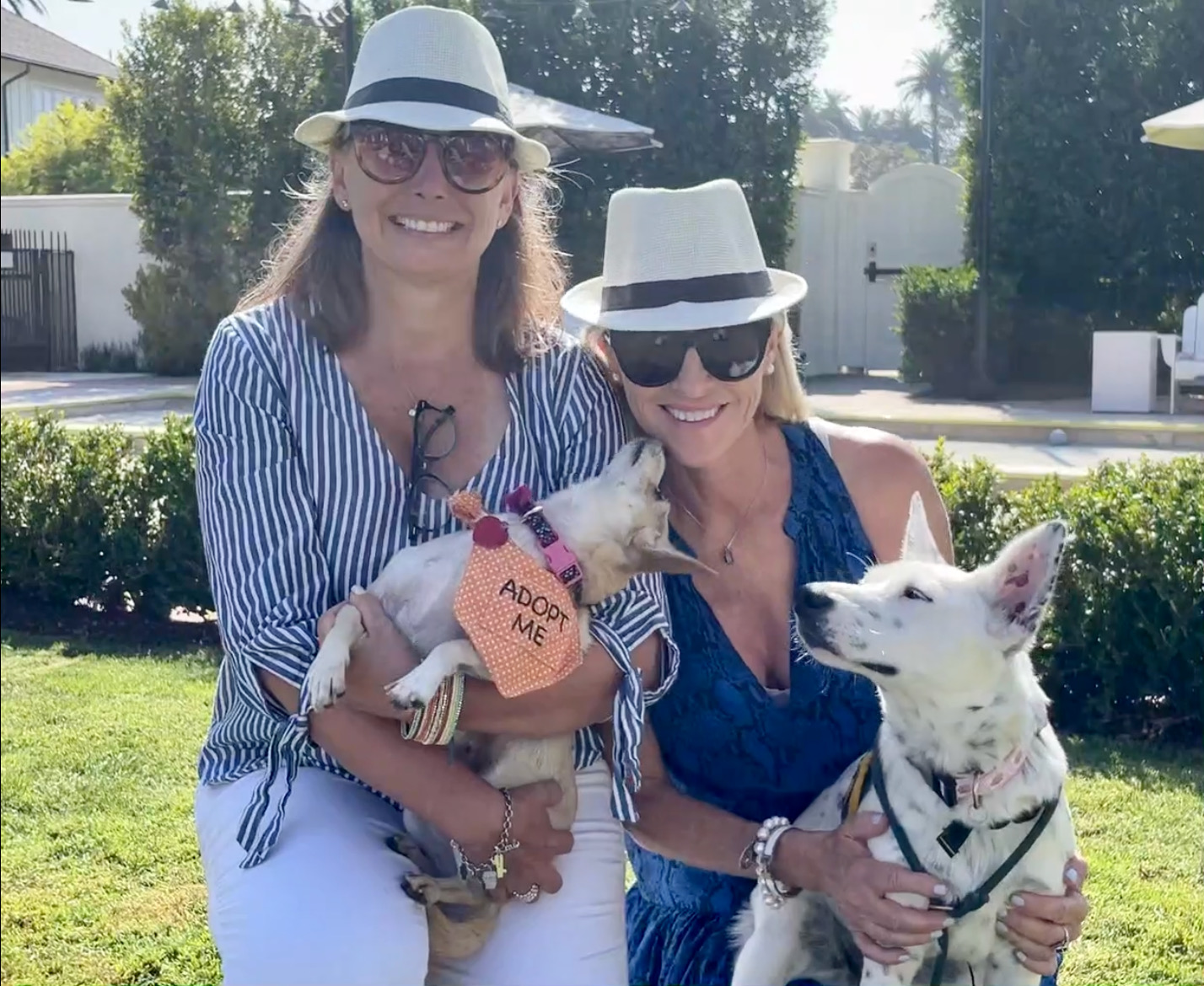 Dog Days of Miramar Promotes Rescue Organizations - The Santa Barbara ...