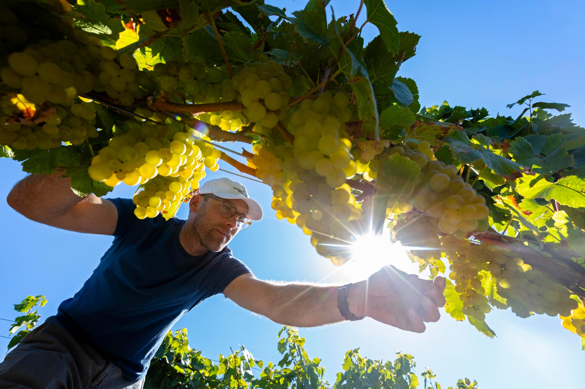 Historic Santa Barbara County Wine Properties Change Hands - The Santa ...