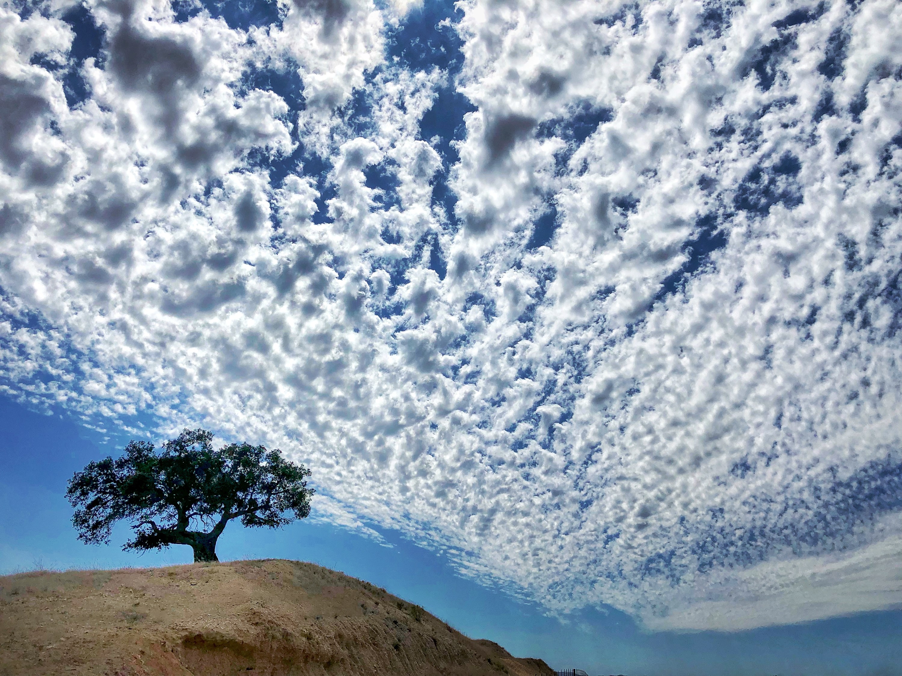 Mike Eliason Photographs ‘Santa Barbara and Beyond’ - The Santa Barbara ...