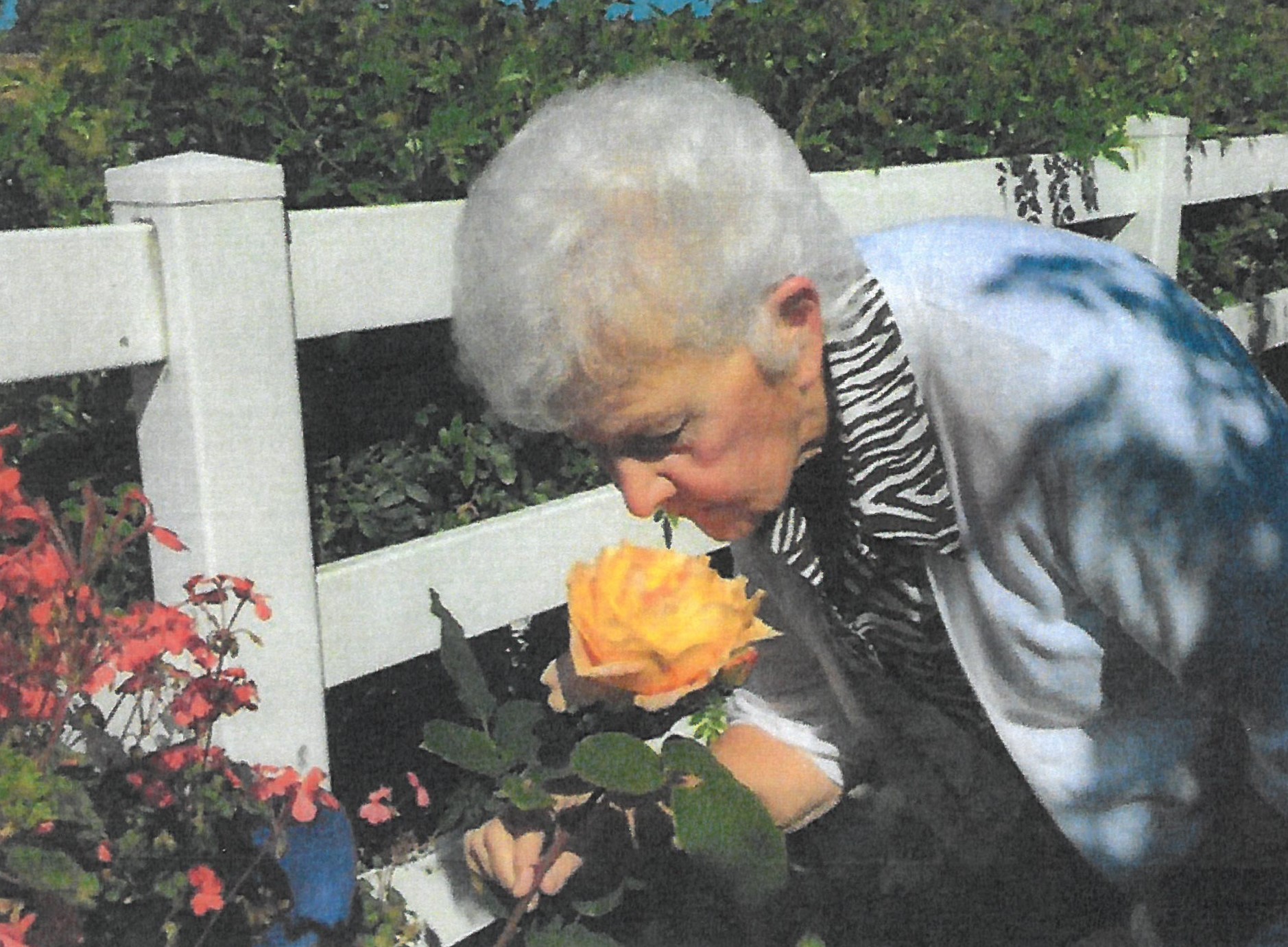 Audrey Murray Terry - The Santa Barbara Independent