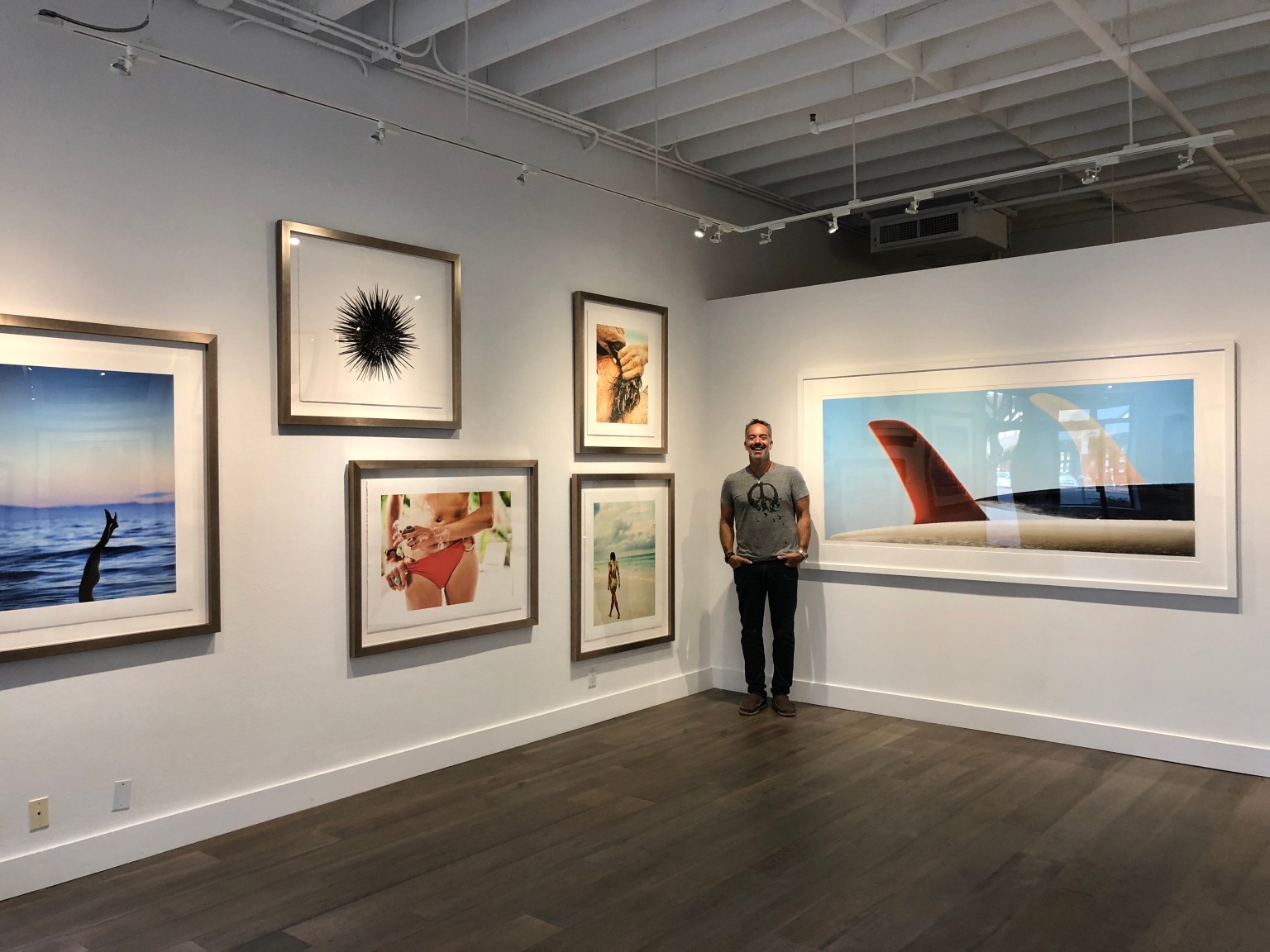 Michael Haber, ‘The Elements’ - The Santa Barbara Independent