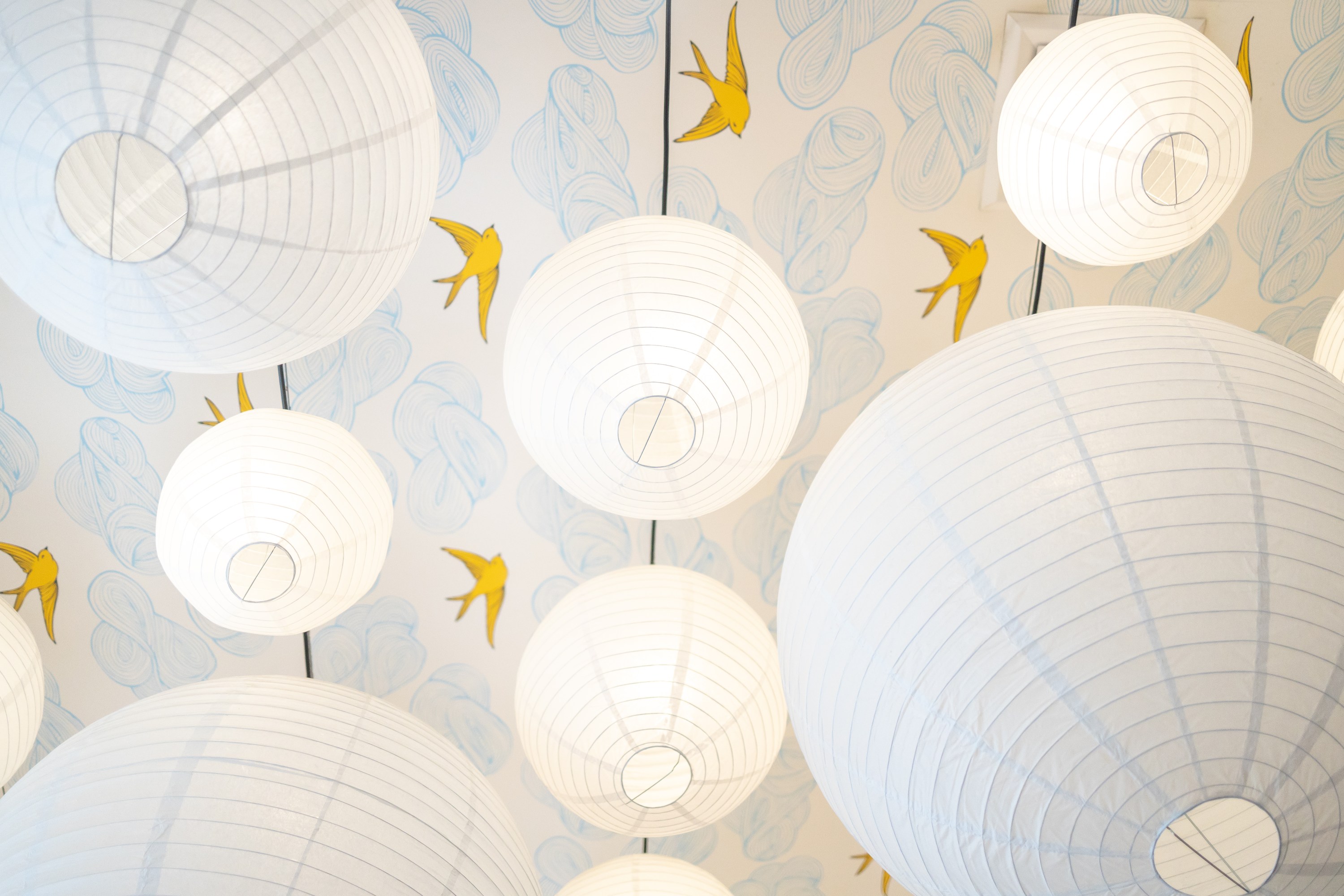 Enjoying the XO Deluxe at XO Santa Barbara - The Santa Barbara Independent