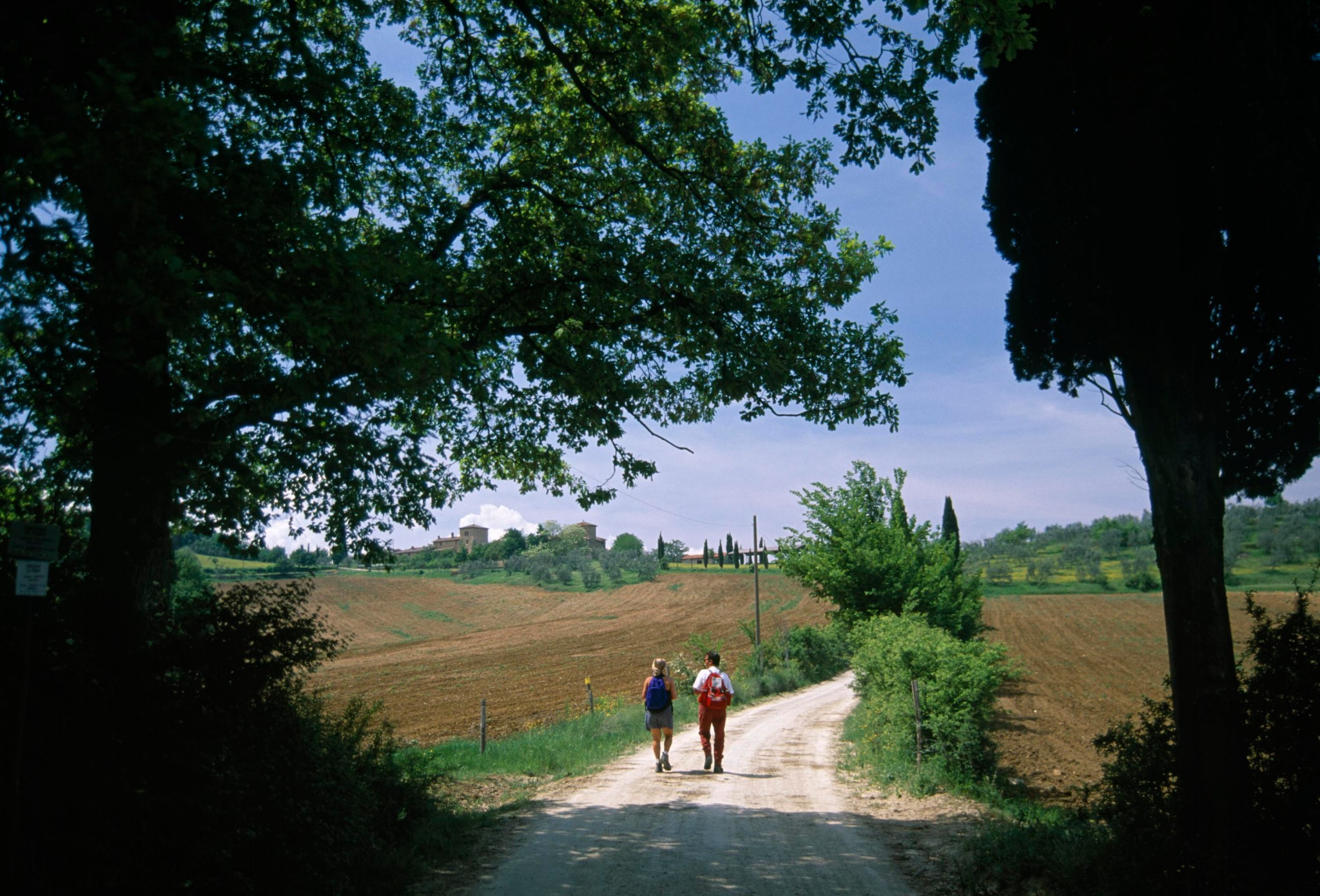 A Walk Through the Tuscan Countryside, Visiting the Hill Towns - The ...