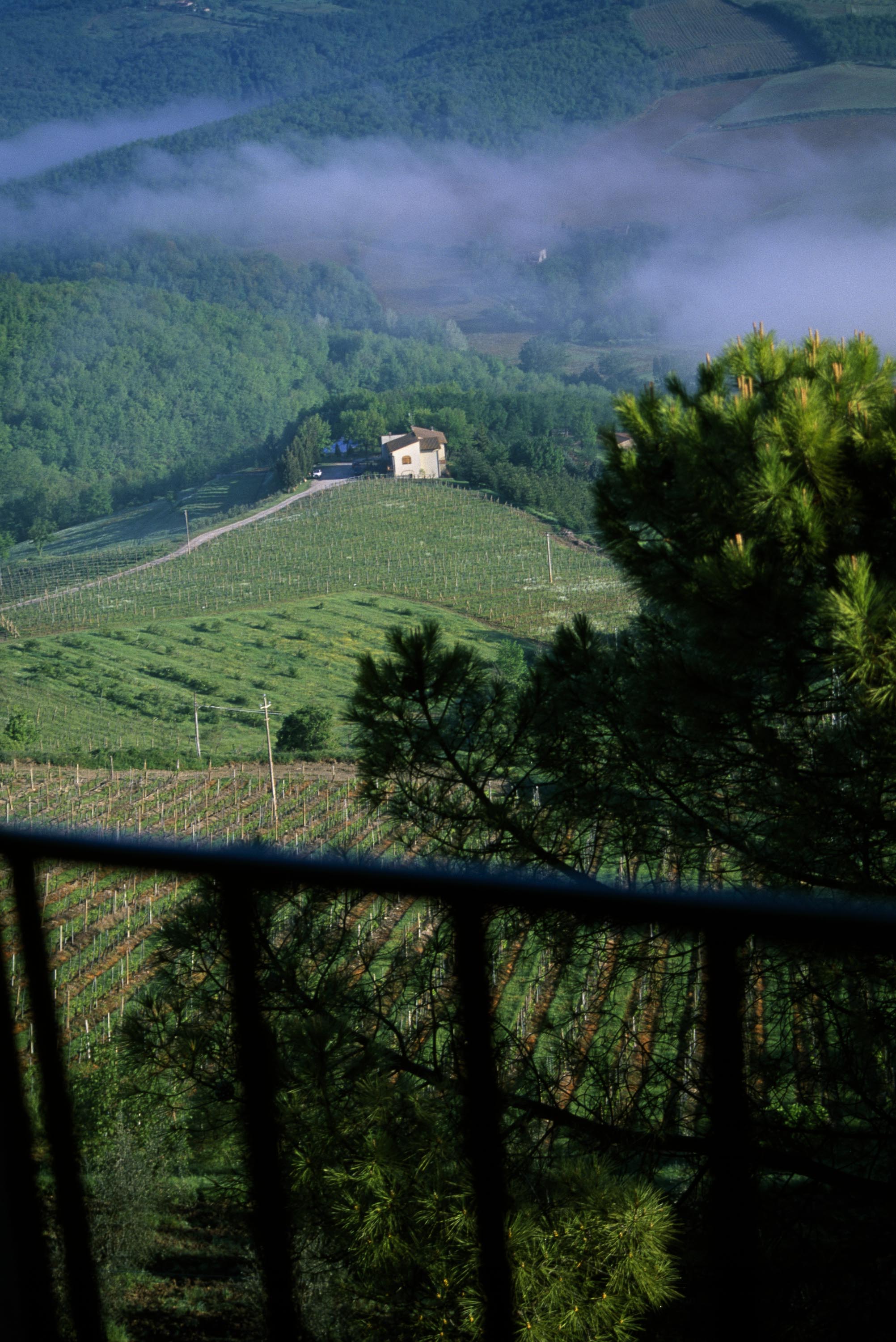 A Walk Through the Tuscan Countryside, Visiting the Hill Towns - The ...