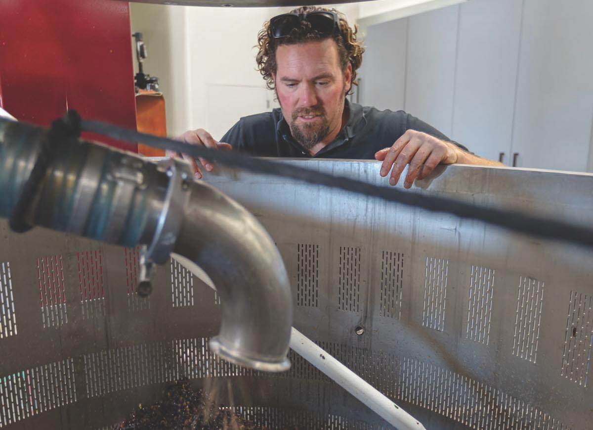 Cellar Success for Blair Fox - The Santa Barbara Independent