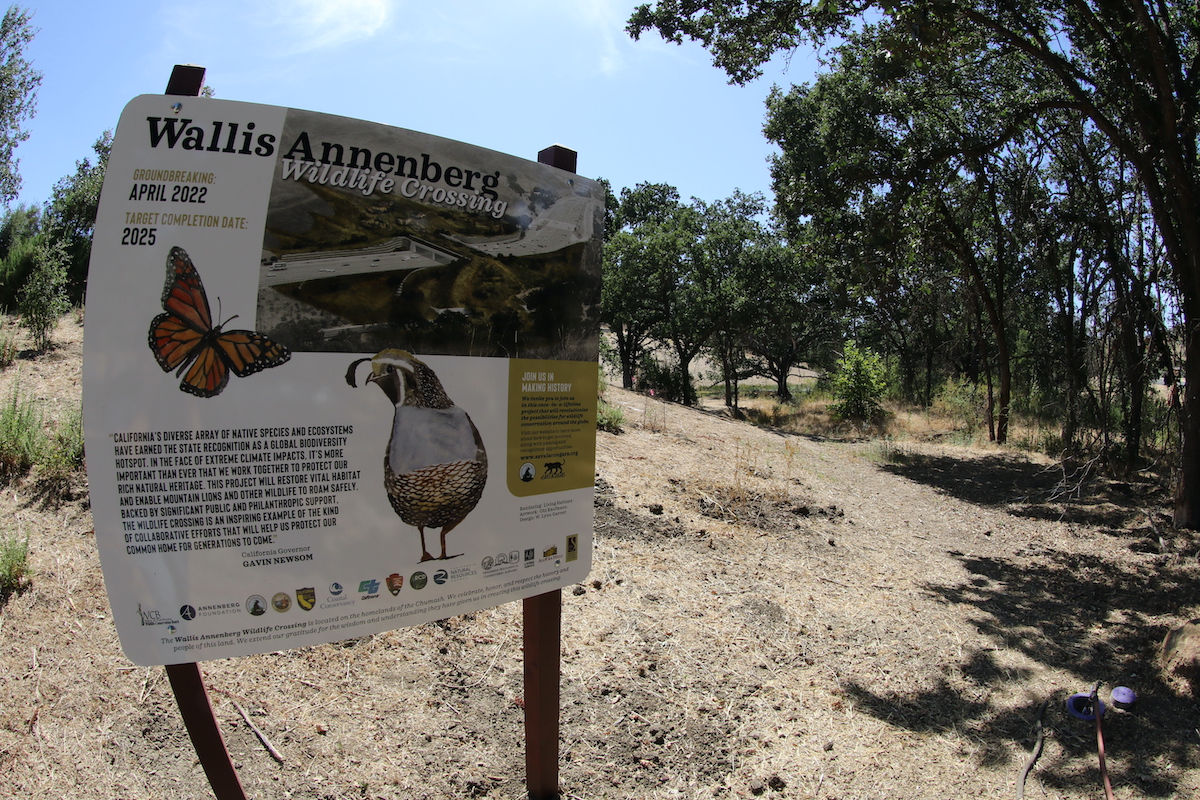 Bridging the Gap: Construction Begins on Wallis Annenberg Wildlife ...