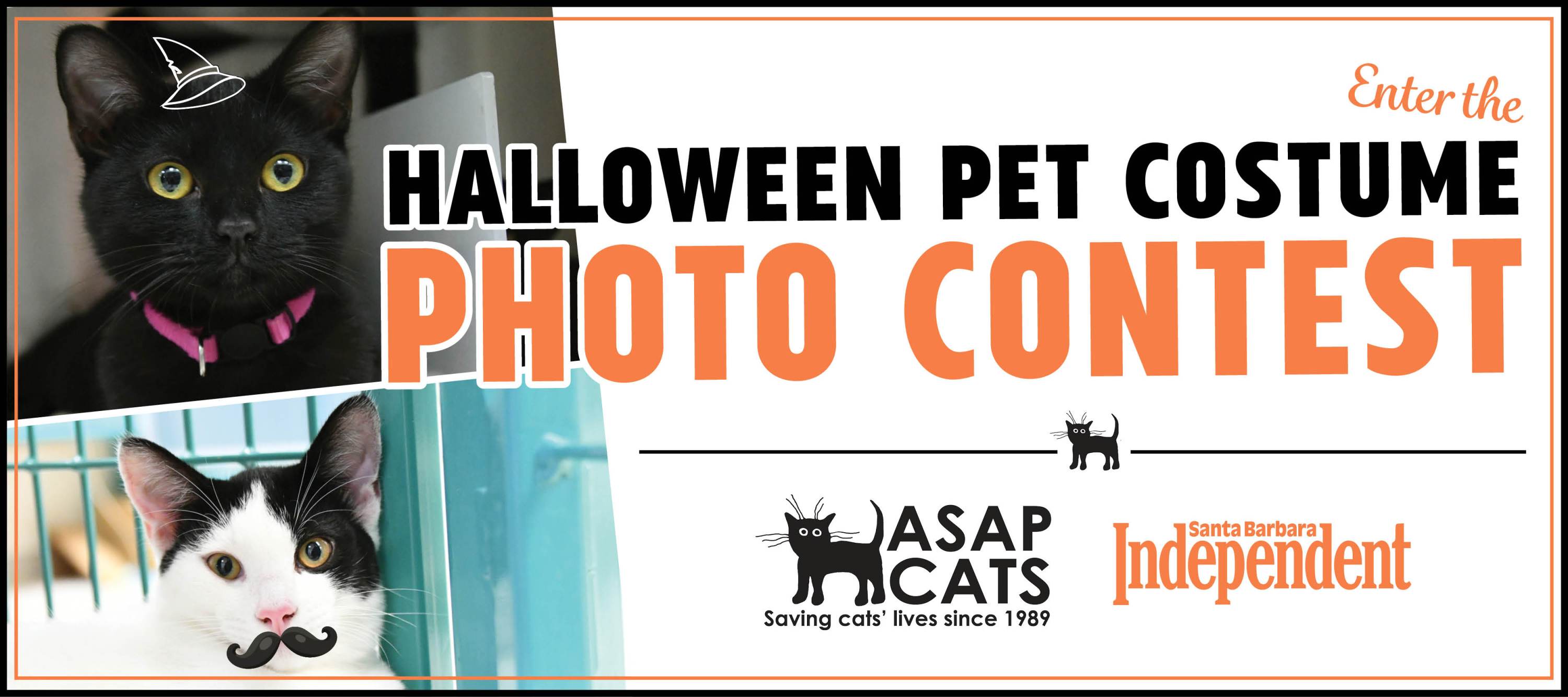 Halloween Pet Costume Photo Contest 2022 - The Santa Barbara Independent