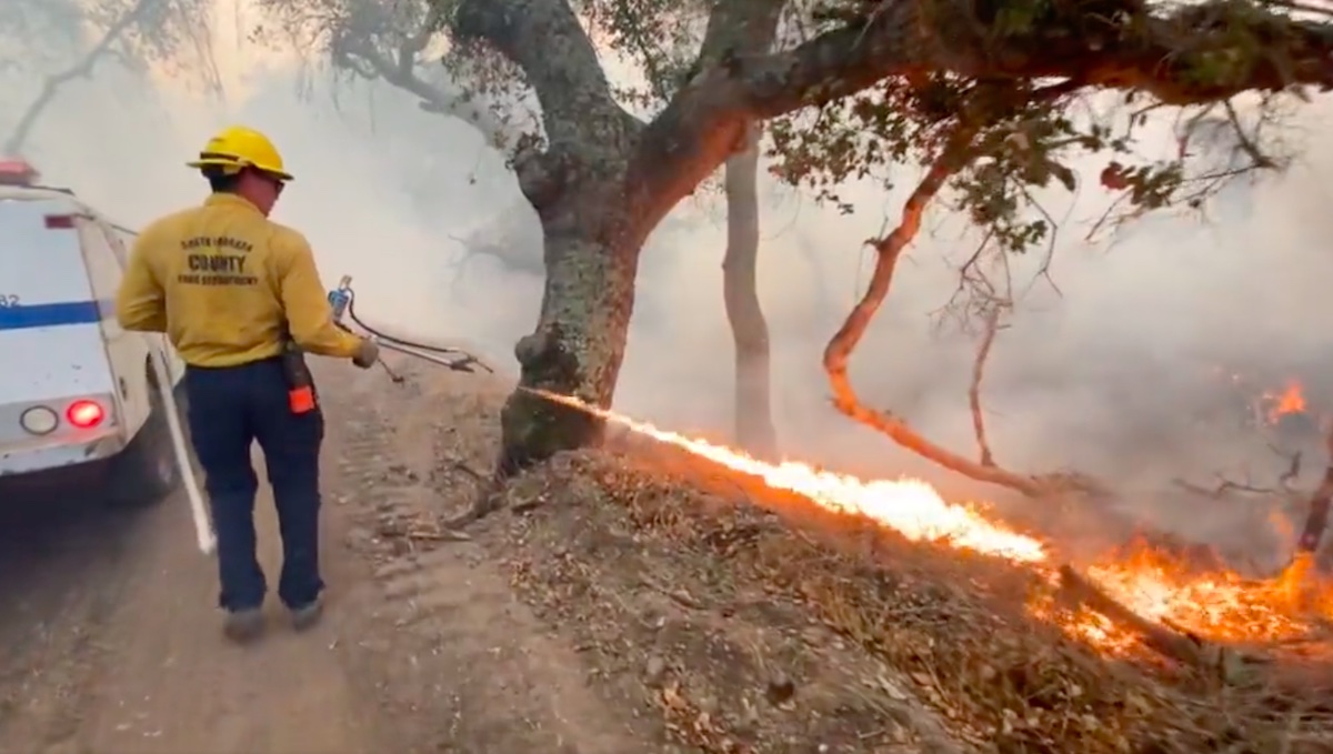 Santa Barbara County Firefighter Uses Flamethrower in Controlled Burn ...