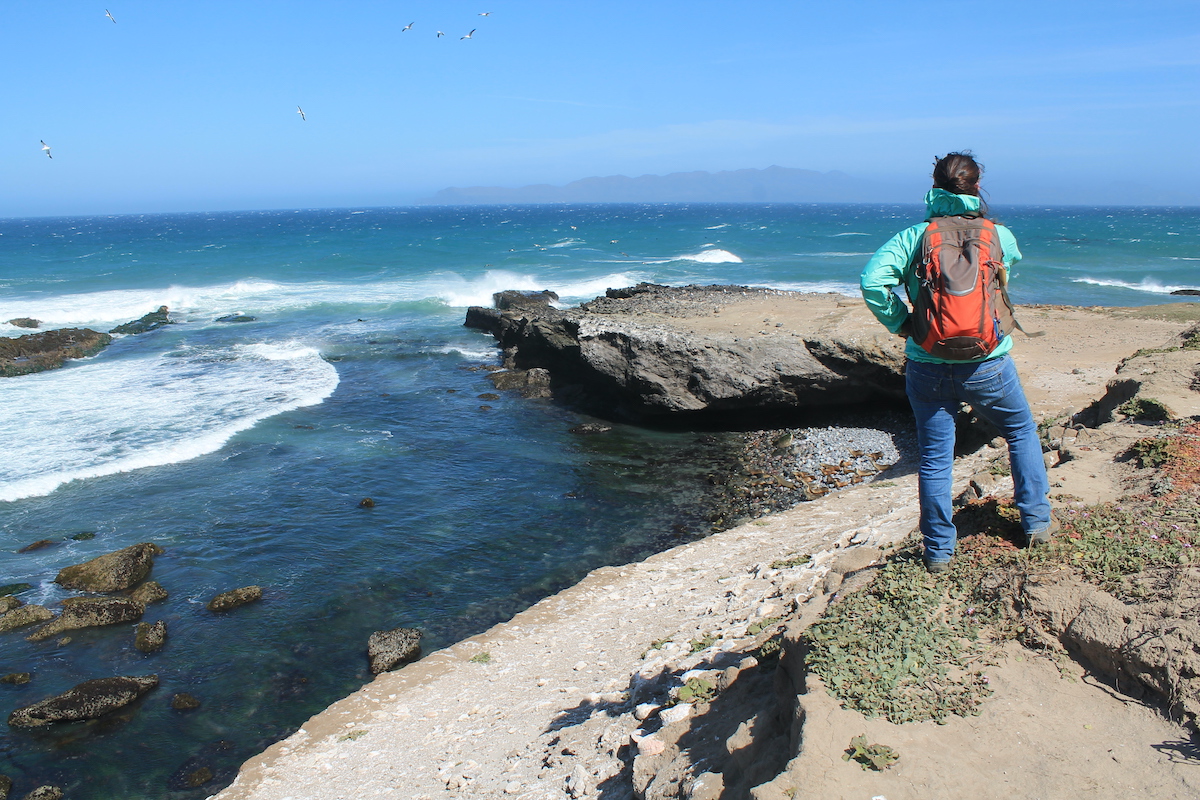 Can Chumash Archaeology Save Fisheries? - The Santa Barbara Independent