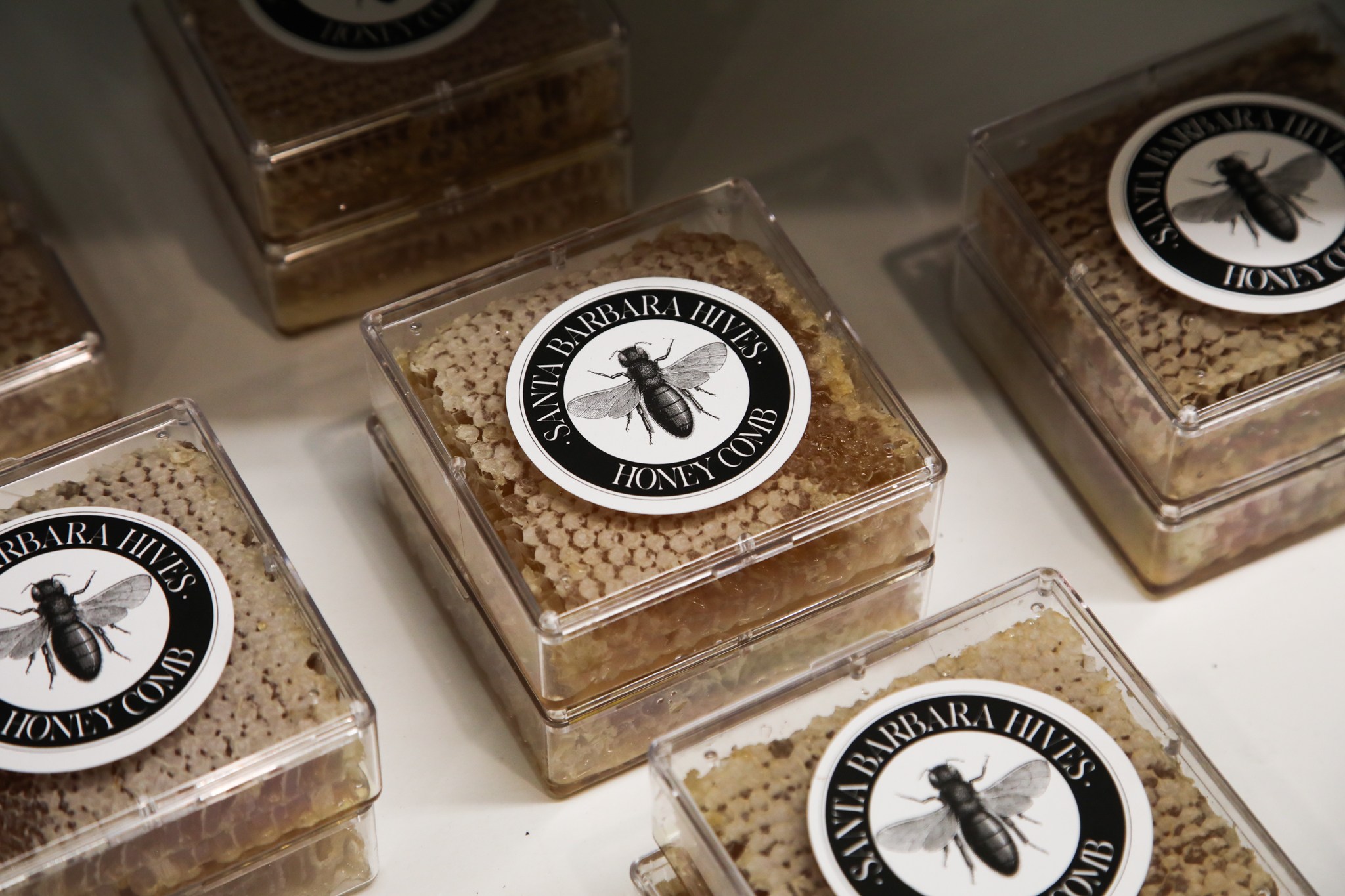 Santa Barbara Hives Grand Opening! - The Santa Barbara Independent