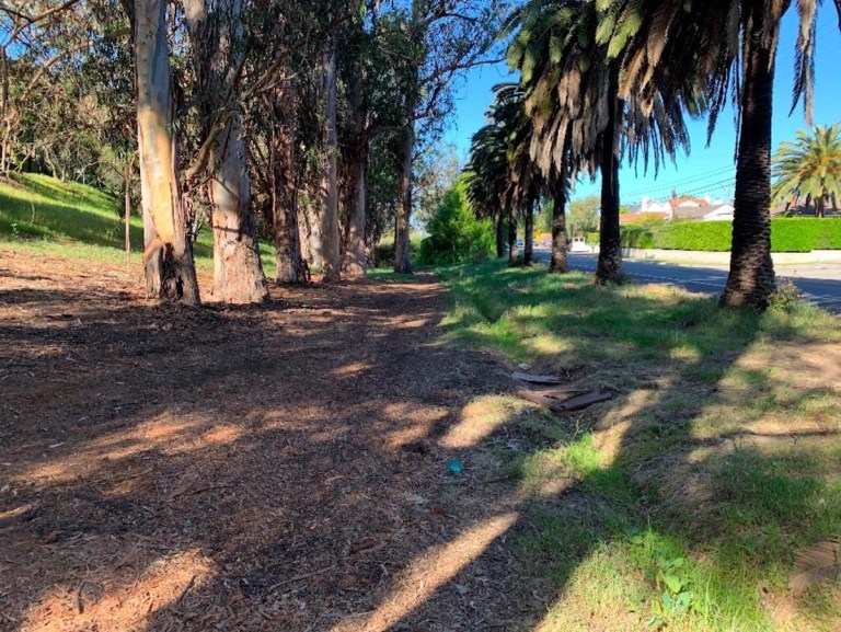 Modoc Road Multi-Use Trail Proposal Wins Round One - The Santa Barbara ...