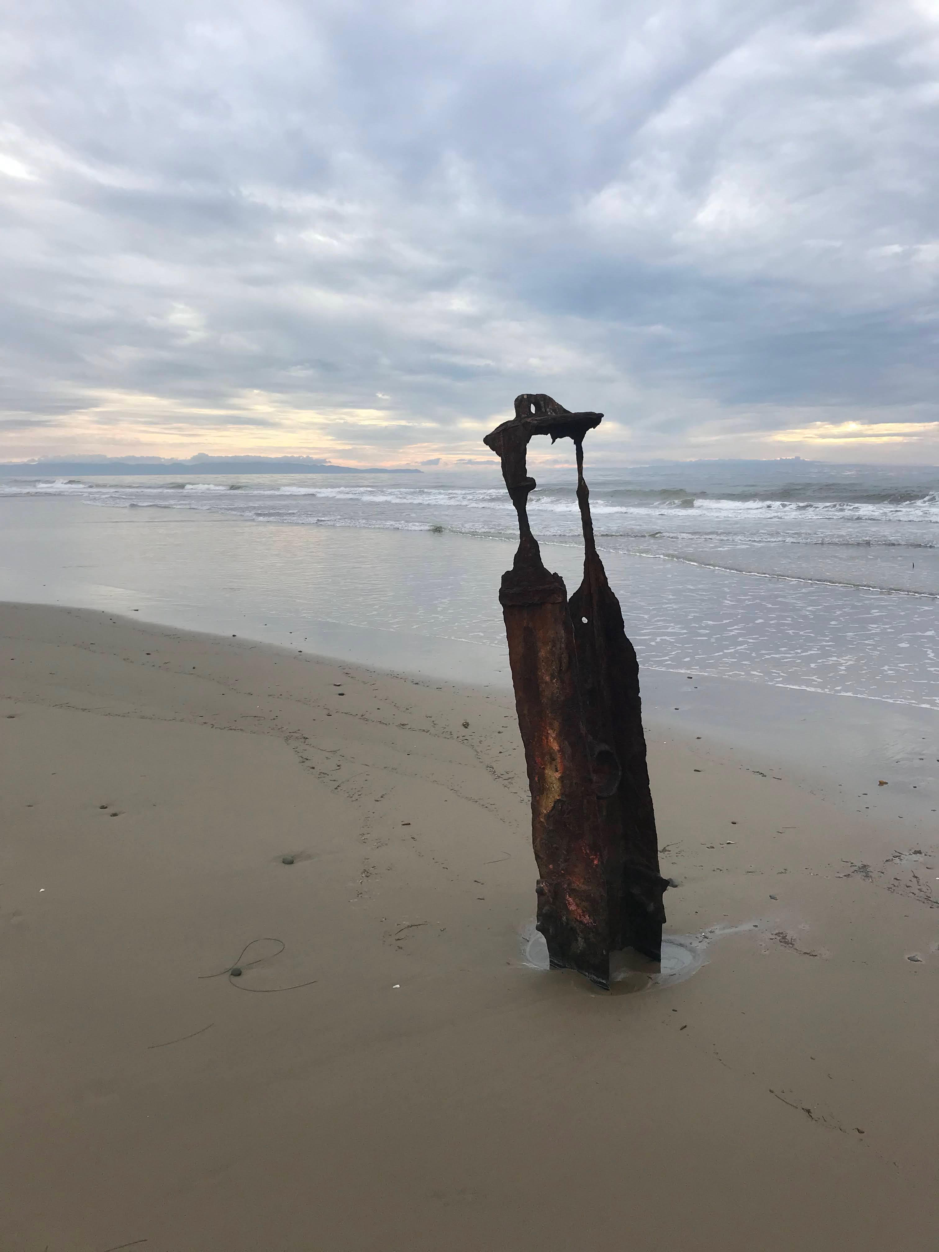 Remove the Rusting Relics under Ellwood Beach - The Santa Barbara ...