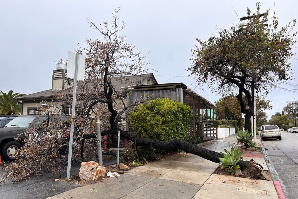 Storm Sweeps Rapidly Across Santa Barbara County - The Santa Barbara ...