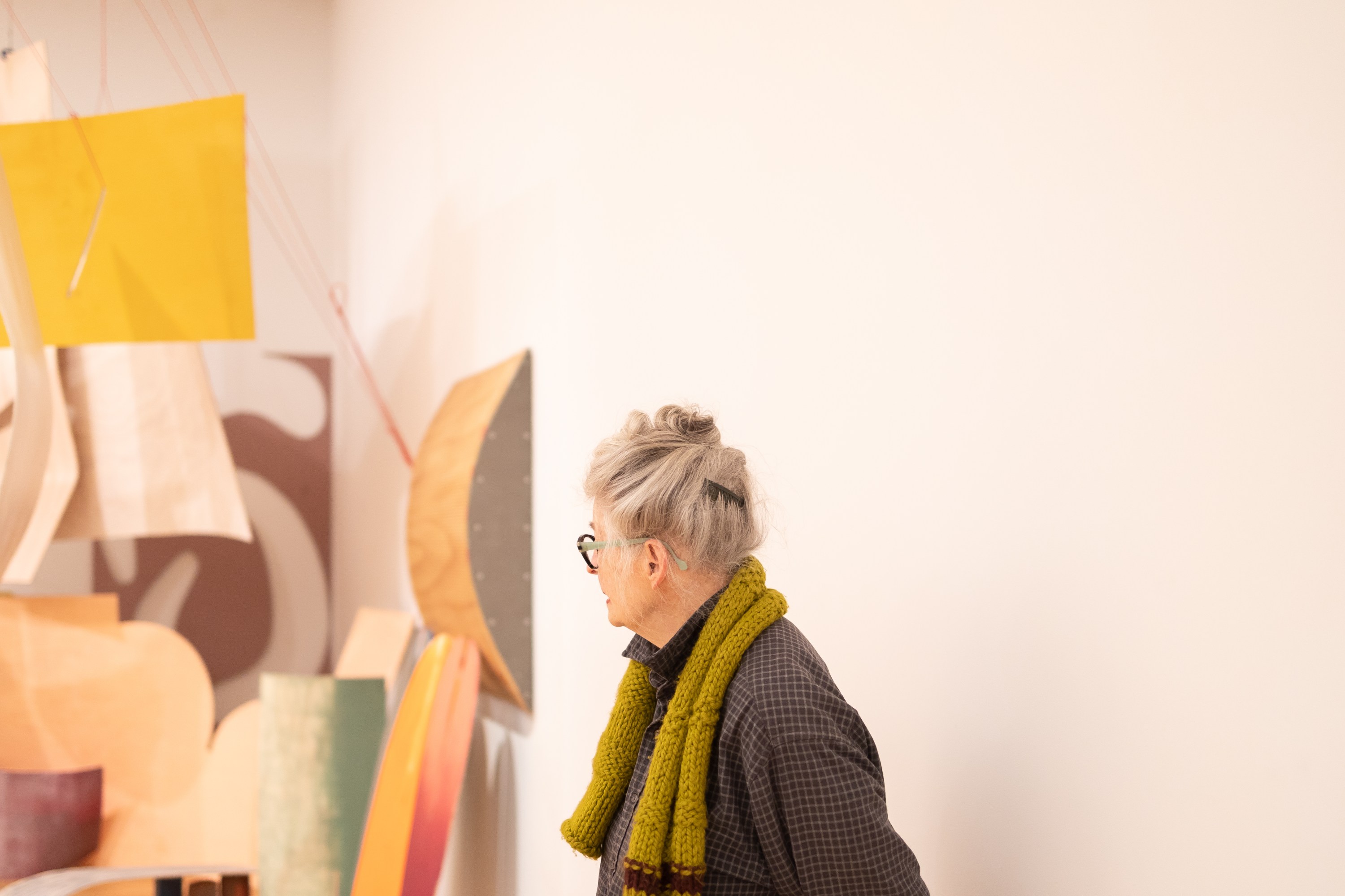 Getting the Run of the Joint: Joan Tanner at Santa Barbara Museum of ...